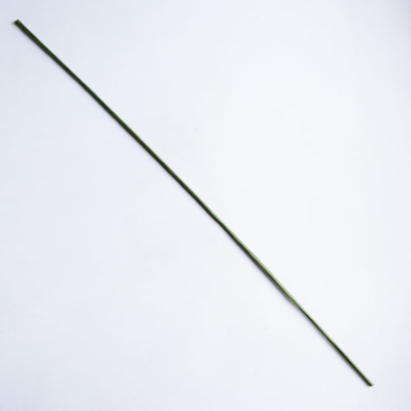 Green stick