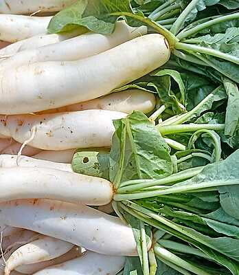 Organic Natural Vegetables Online Home delivery in Hyderabad from ...